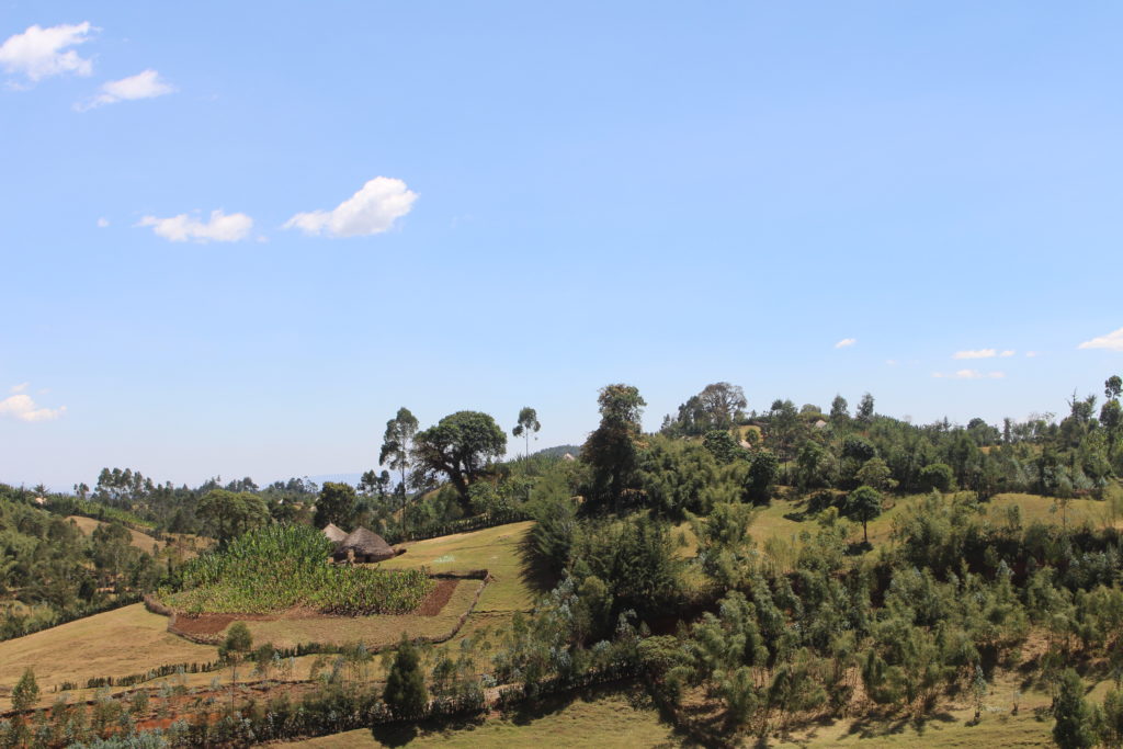 Clean Water in Arbegona! - Hawassa Hope